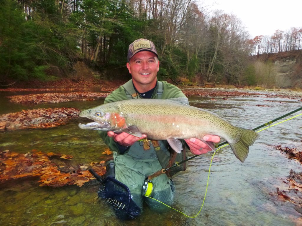 Steelie Ascent: More rain needed to aid steelhead trout trek up Lake ...